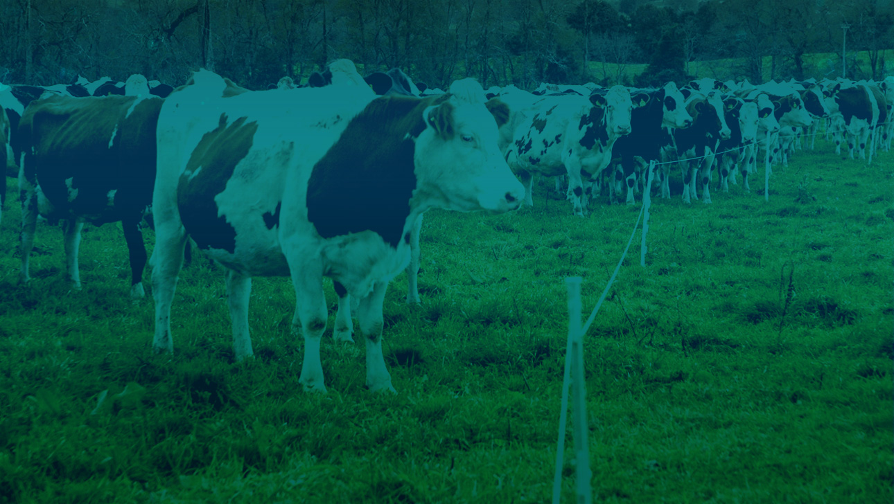 Biogenesis Animal Health • Inicio