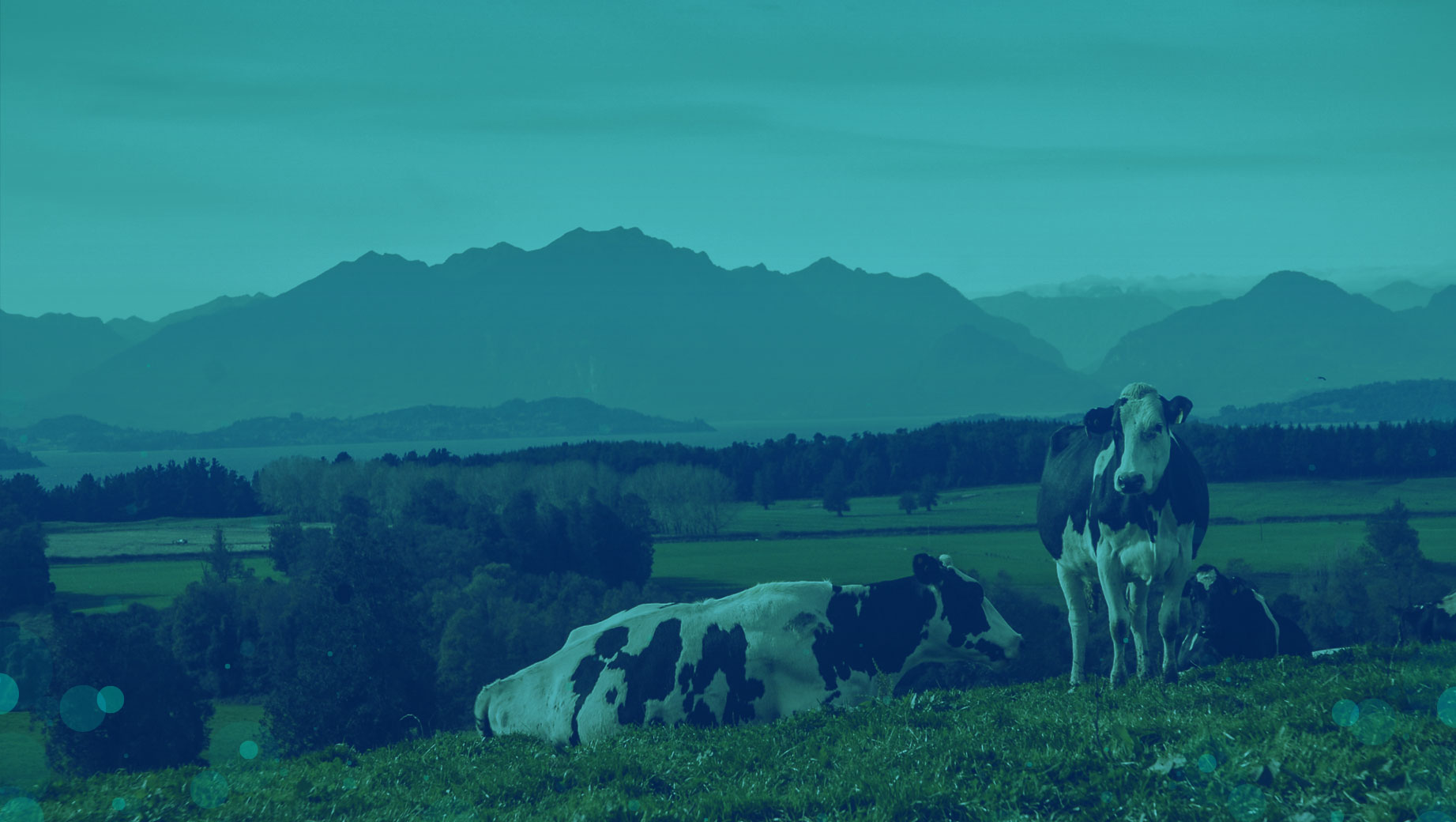 Biogenesis Animal Health • Inicio