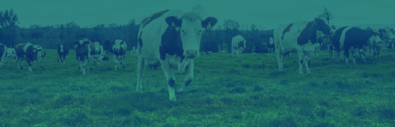 Biogenesis Animal Health • Investigación & Desarrollo