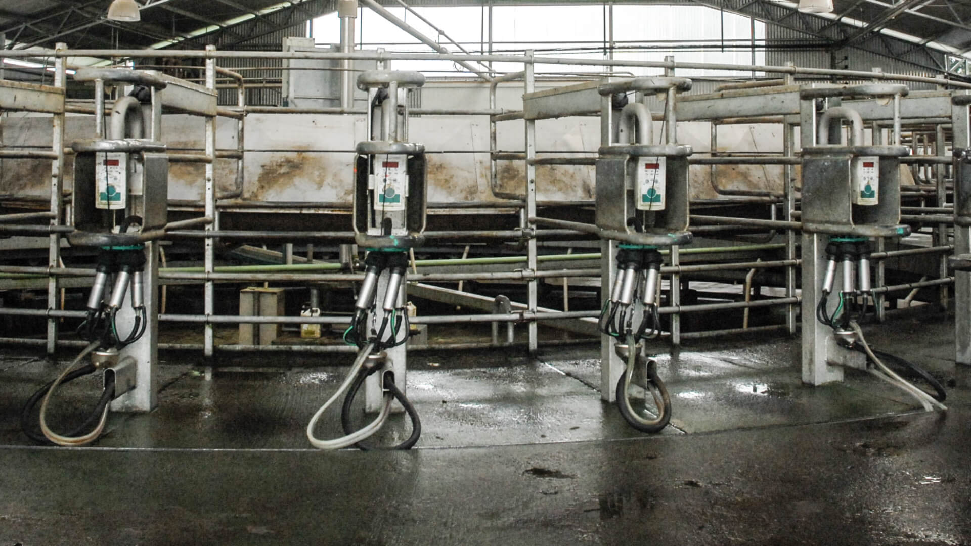 Biogenesis Animal Health • Investigación & Desarrollo